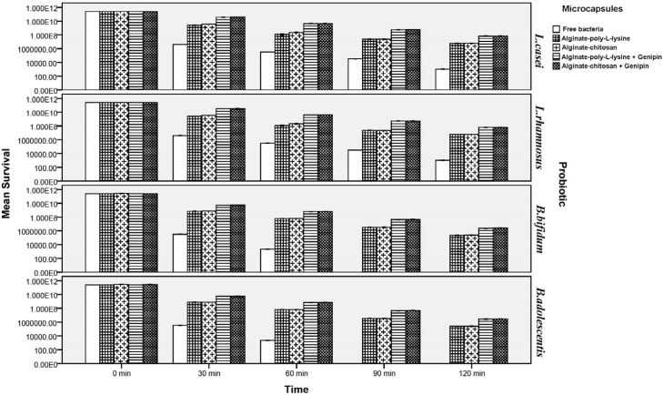 Promoting Probiotics Survival by Microencapsualtion with Hylon Starch ...