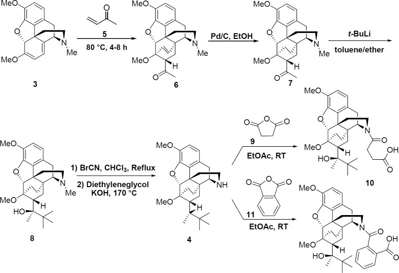Efficient Synthesis of Norbuprenorphines Coupled with Enkephalins and ...