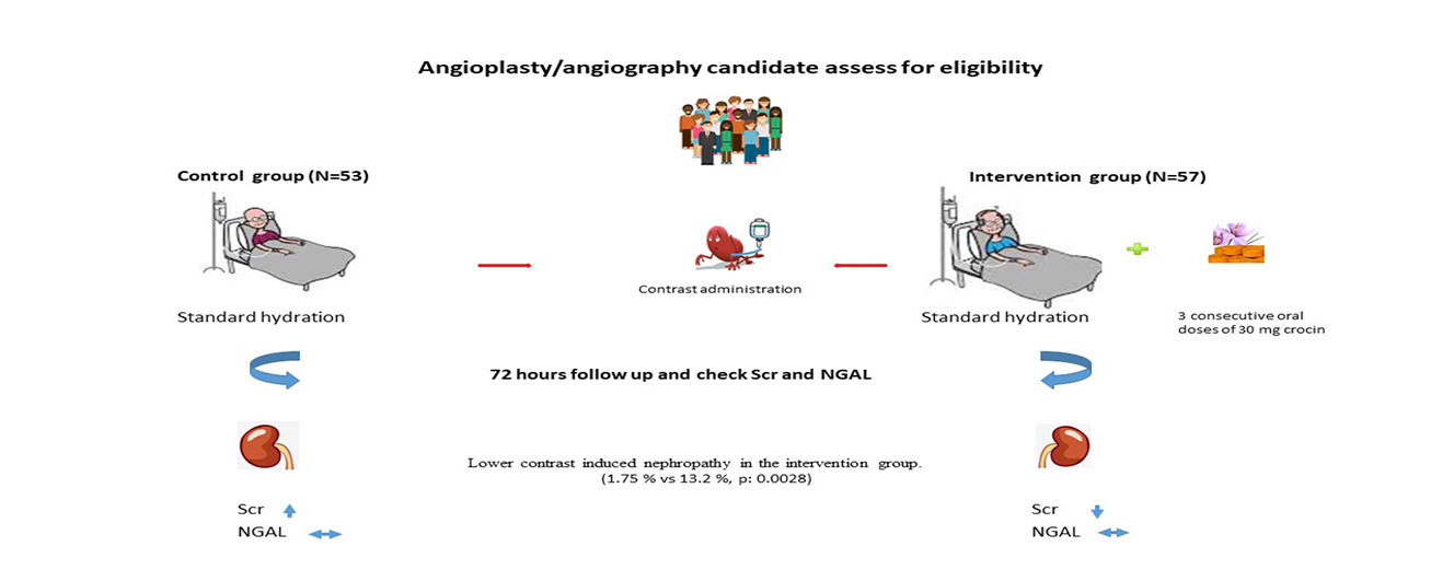 Evaluation of Crocin Effect on Contrast-Induced Nephropathy Following ...