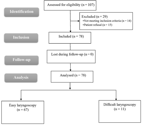 Validity of Airway Ultrasound in Correlation with Cormack-Lehane ...