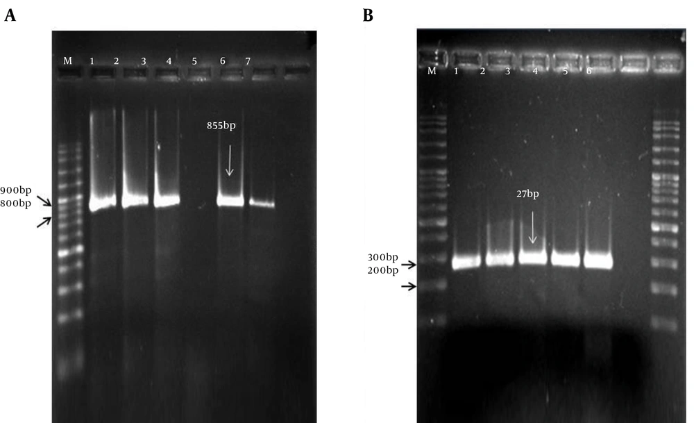 Distribution of tsst-1 and mecA Genes in Staphylococcus aureus Isolated From Clinical Specimens